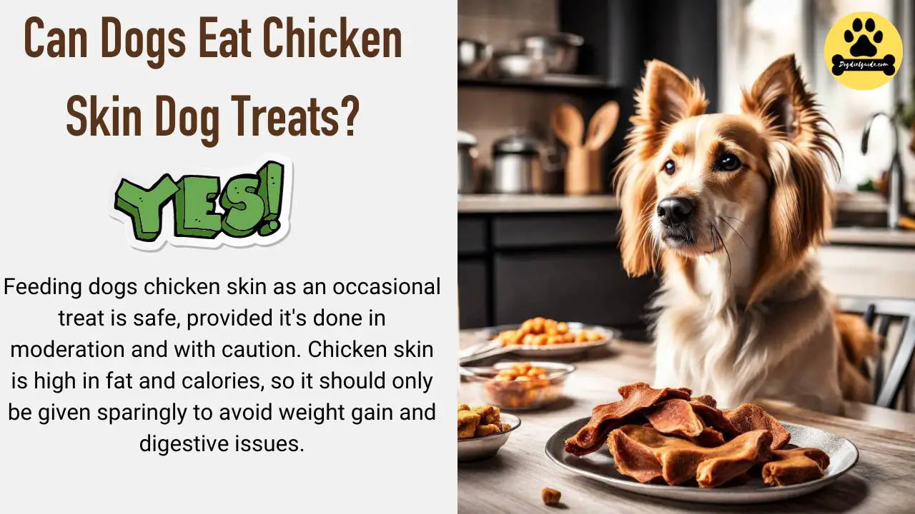 Can Dogs Eat Chicken Skin Dog Treats? | Benefits, Risks