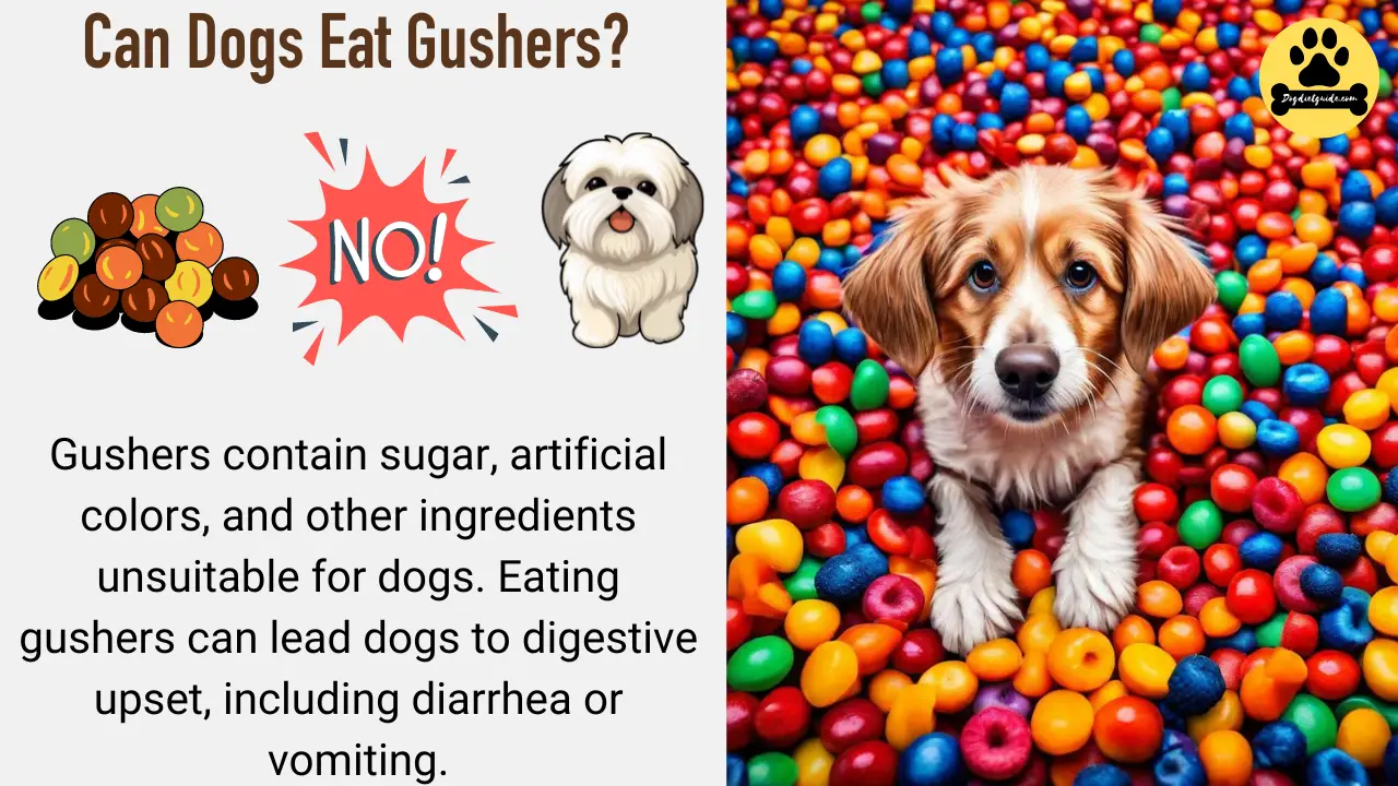 Can Dogs Eat Gushers? (No) | Health Risks Explained