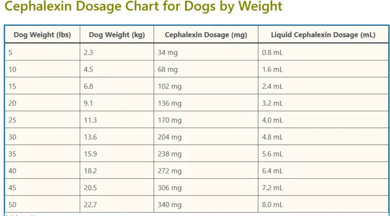 Cephalexin For Dogs Dosage Chart: 75mg To 600mg