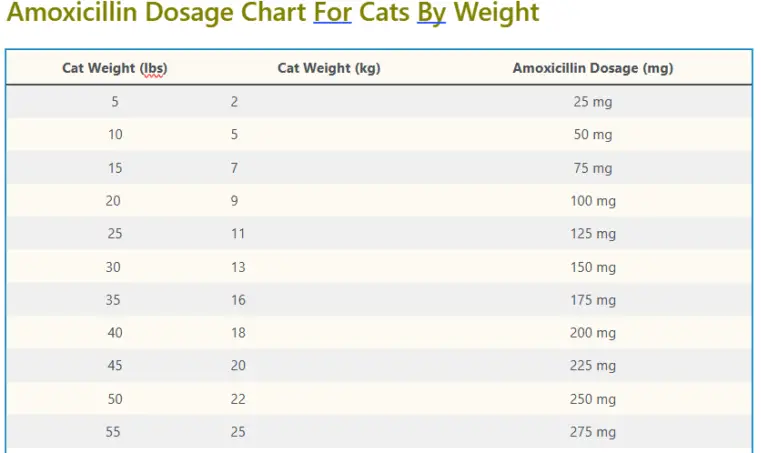 Amoxicillin Dosage For Cats: 250-500 mg Dosage Chart