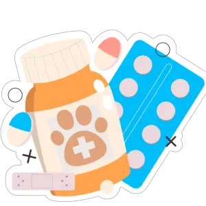 Cerenia Dosage For Cats: Uses, Benefits & Side Effects