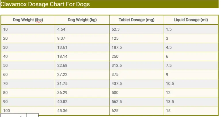 Clavamox Dosage For Dogs: Uses, Benefits & Side Effects
