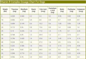 Vitamin B Complex Dosage For Dogs: Uses, Benefits & Side Effects