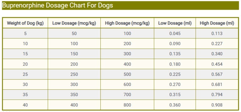 Buprenorphine Dosage For Dogs: Uses, Benefits & Side Effects