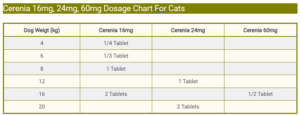 Cerenia Dosage For Cats: Uses, Benefits & Side Effects