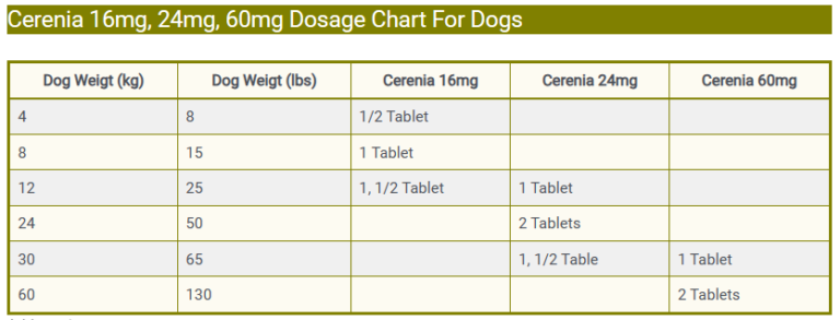 Cerenia Dosage For Dogs: Uses, Benefits & Side Effects