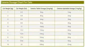 Cerenia Dosage For Cats: Uses, Benefits & Side Effects