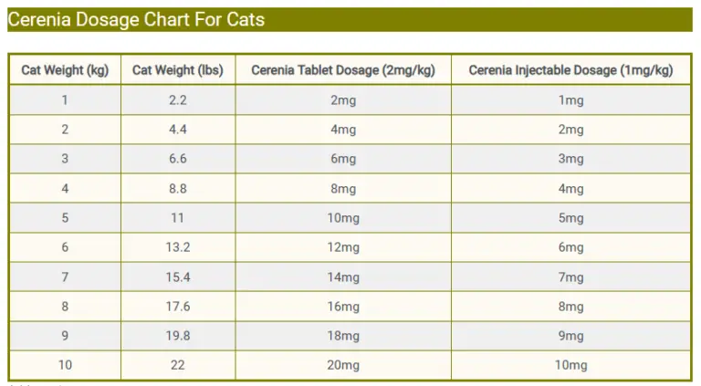 Cerenia Dosage For Cats: Uses, Benefits & Side Effects