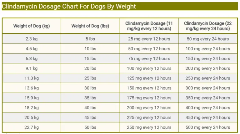 Clindamycin Dosage For Dogs: Uses, Benefits & Side Effects