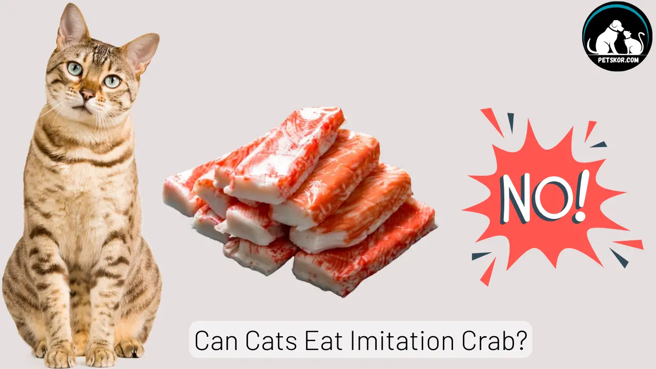 Can Cats Eat Imitation Crab? Benefits, Risks