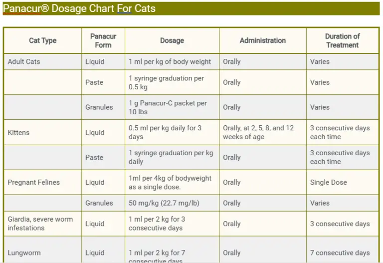 Panacur Dosage For Cats: Uses, Benefits & Side Effects