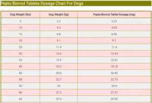 Pepto Bismol Dosage For Dogs: Uses, Benefits & Side Effects