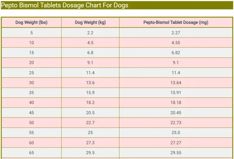 Pepto Bismol Dosage For Dogs: Uses, Benefits & Side Effects
