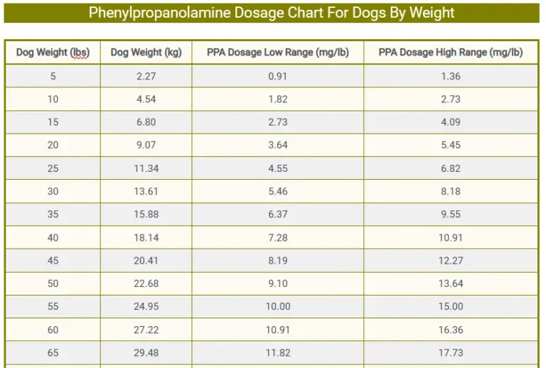 Phenylpropanolamine Dosage For Dogs: Uses, Benefits & Side Effects