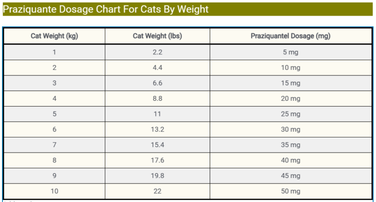 Praziquantel Dosage For Cats: Uses, Benefits & Side Effects