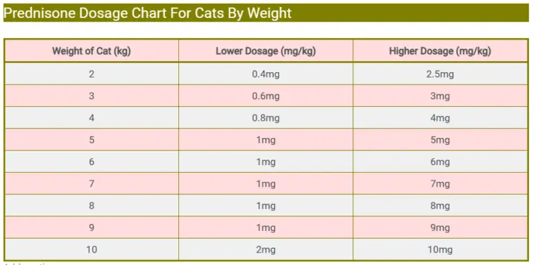 Prednisone Dosage For Cats: Uses, Benefits & Side Effects