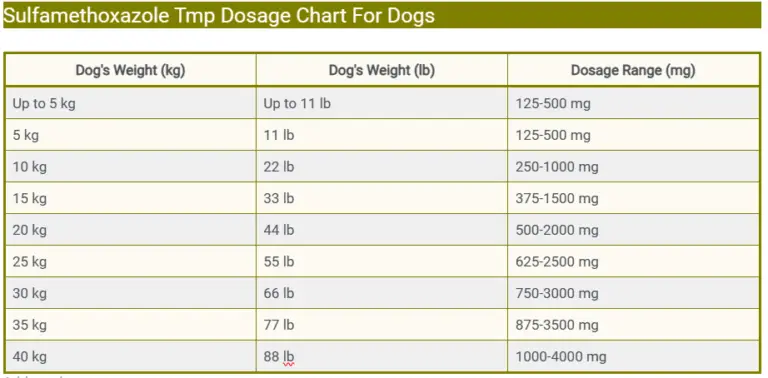 Sulfamethoxazole Tmp Dosage For Dogs: Uses, Benefits & Side Effects